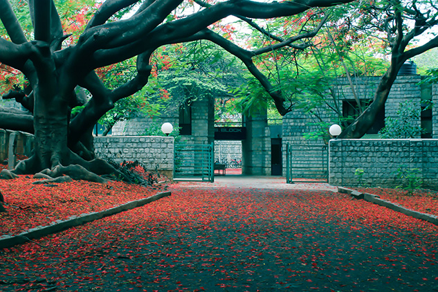 Student Life – Chemical Engineering – Indian Institute of Science ...